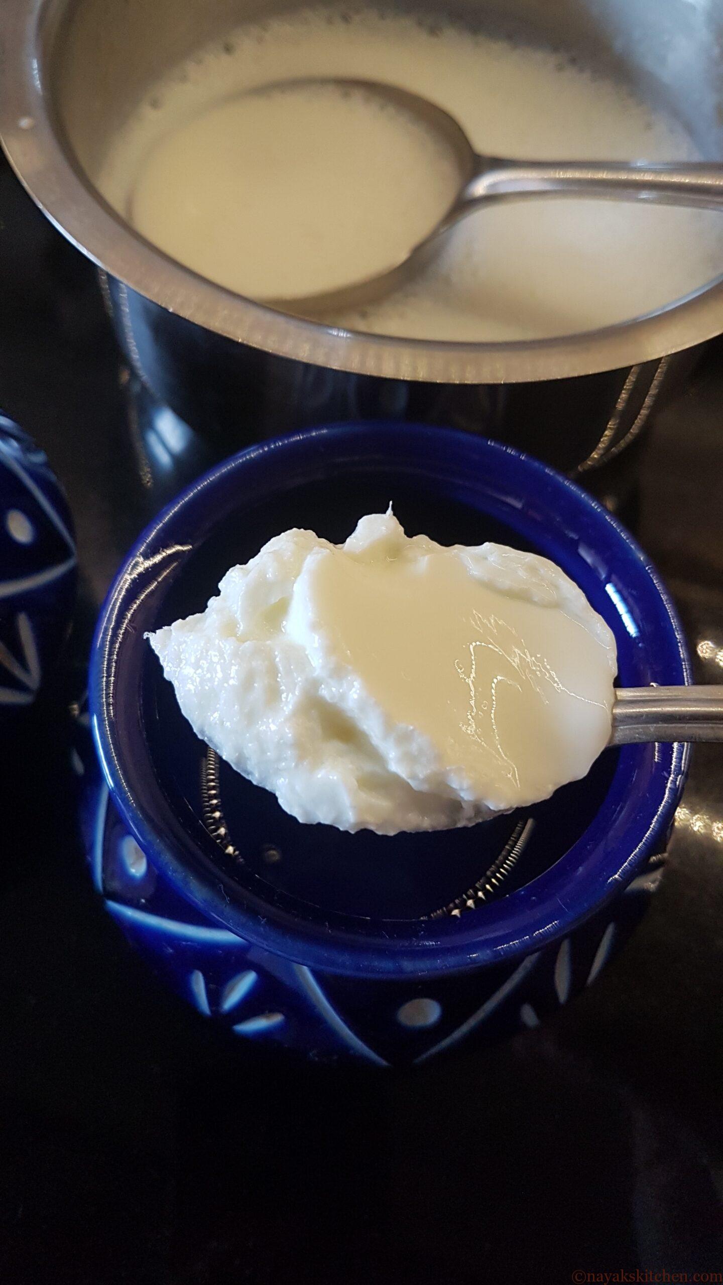 Homemade curd | How to make curd | Thick, creamy curd recipe ...