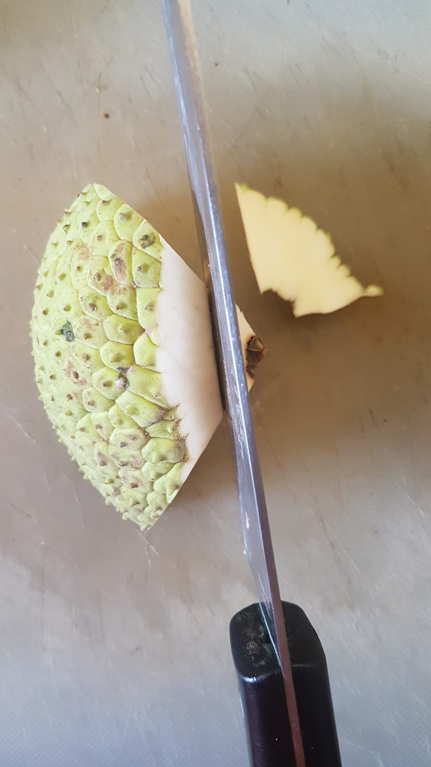 How To Cut A Breadfruit Easily? - nayakskitchen - Your Own Pakshala