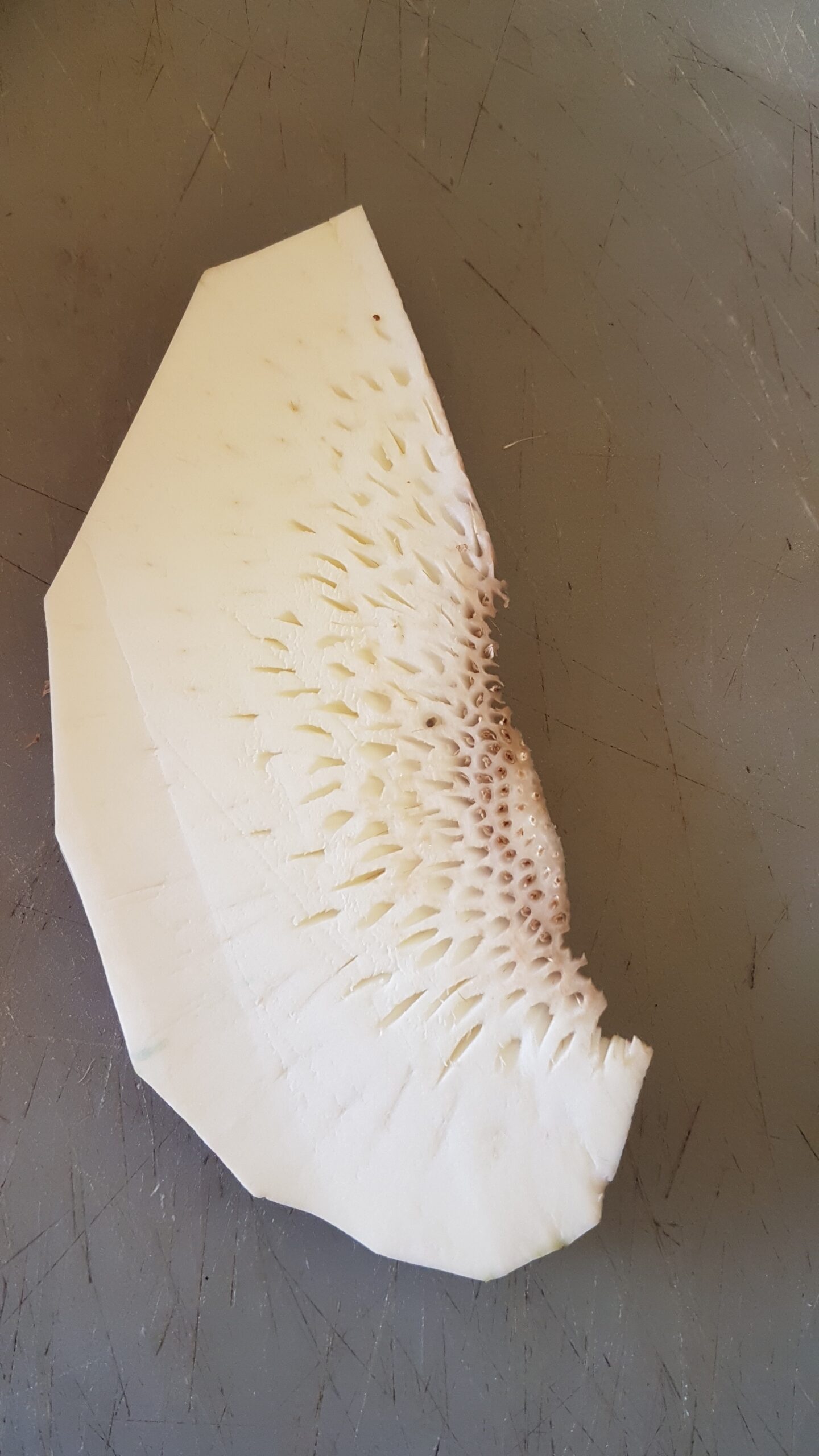 How To Cut A Breadfruit Easily? | nayakskitchen - Your Own Pakshala